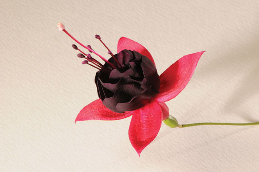 HANGER Fuchsia- New Millennium - J.P. Bartlett's Wholesale Greenhouse